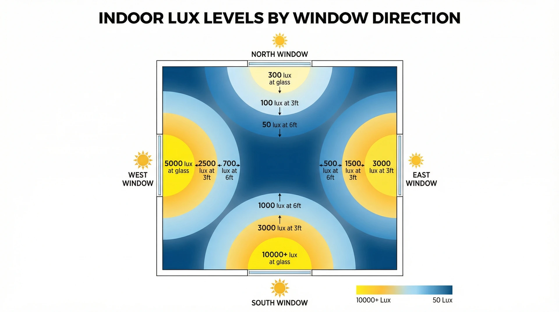 Houseplant Light Guide: What 'Low,' 'Medium' and 'Bright Indirect ...