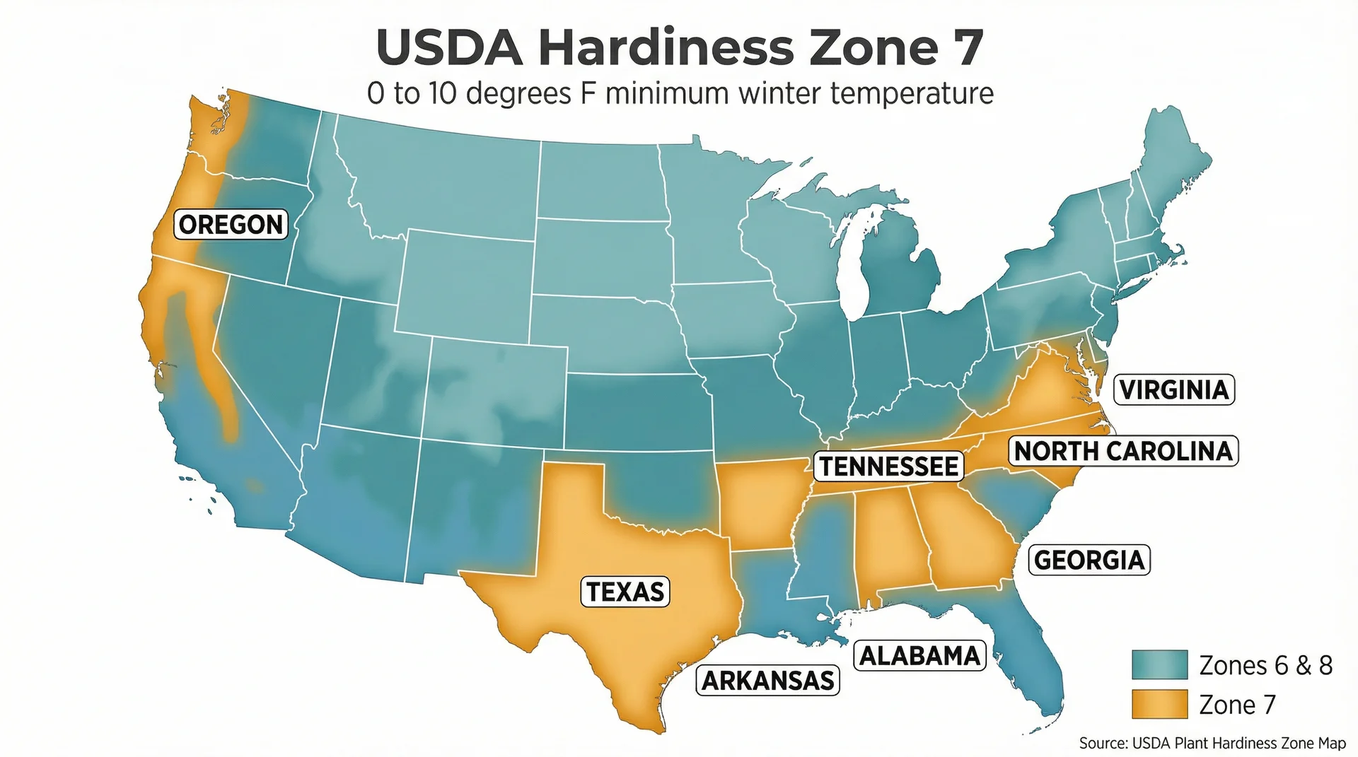 Best Plants for Zone 7: 55 Proven Performers for the Transition Zone ...